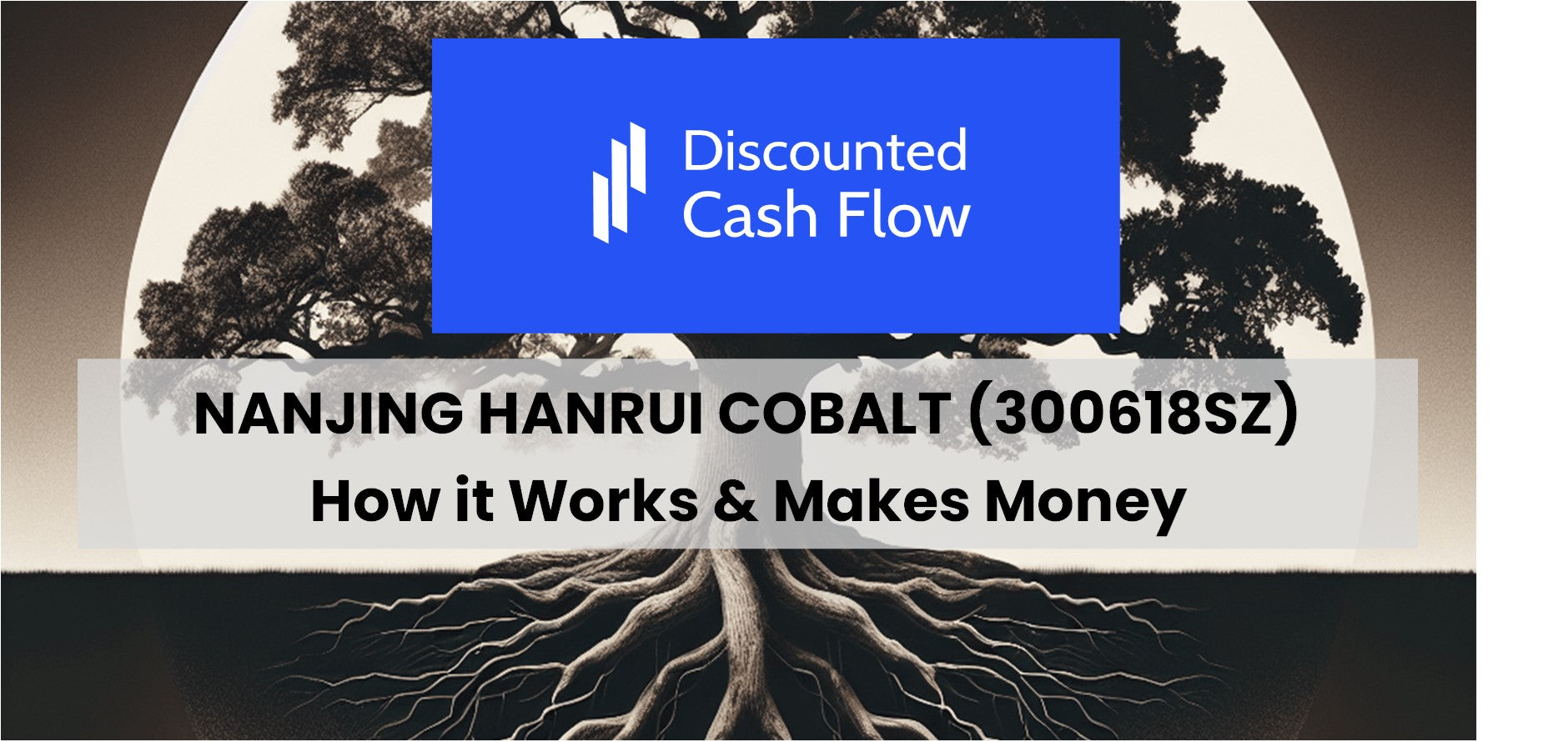 Nanjing Hanrui Cobalt (300618SZ): history, ownership, mission, how it ...