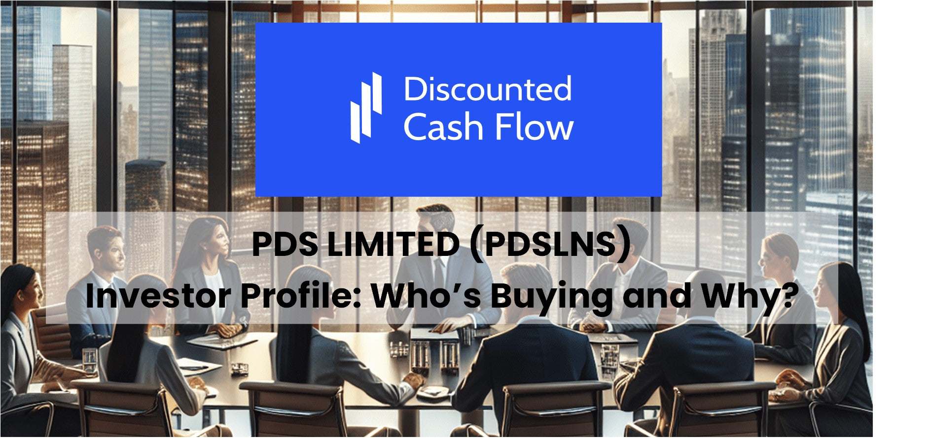 Exploring PDS Limited (PDSLNS): Who’s Buying and Why? – DCFmodeling.com