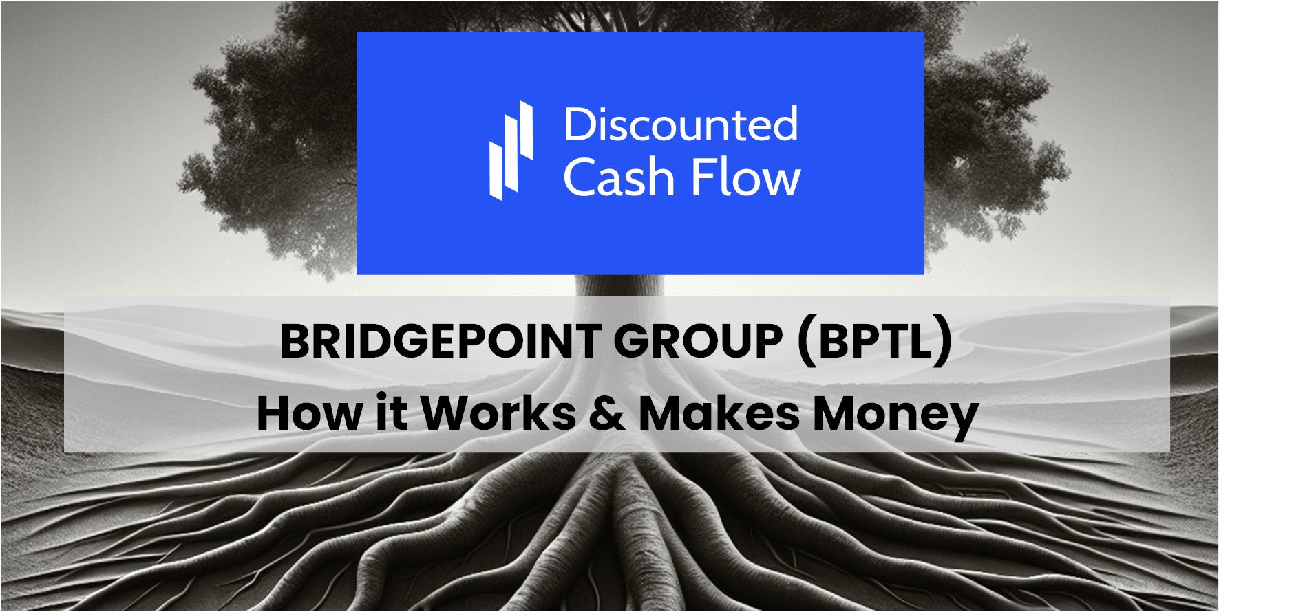 Bridgepoint Group (BPTL): history, ownership, mission, how it works ...