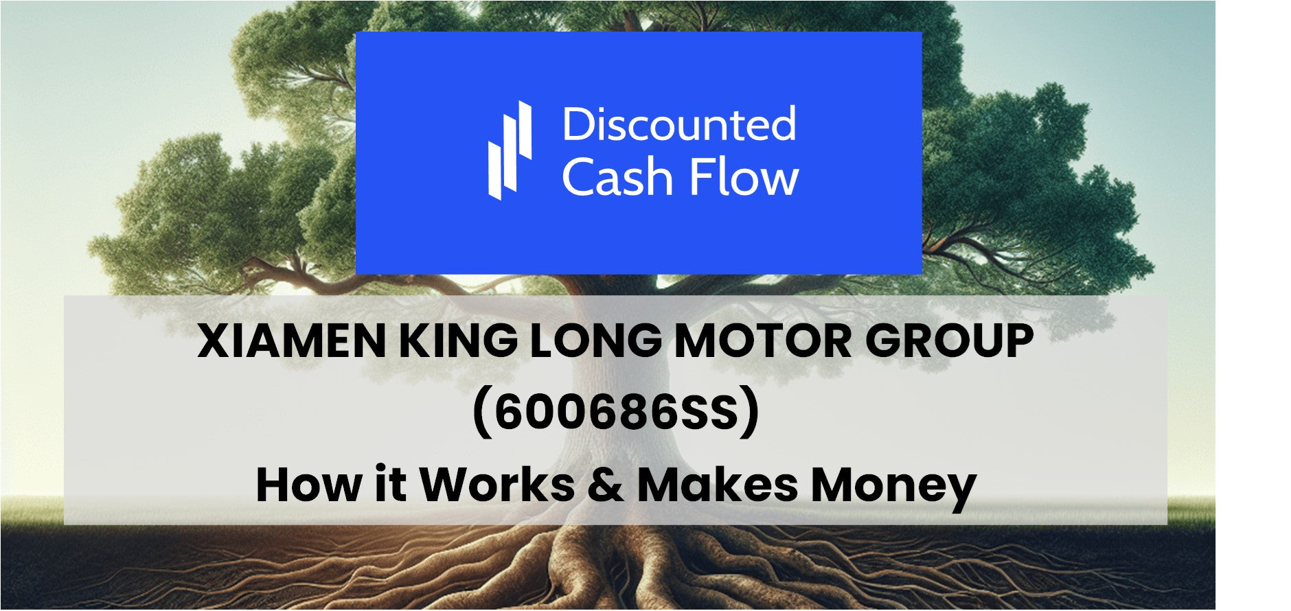Xiamen King Long Motor Group (600686SS): history, ownership, mission ...