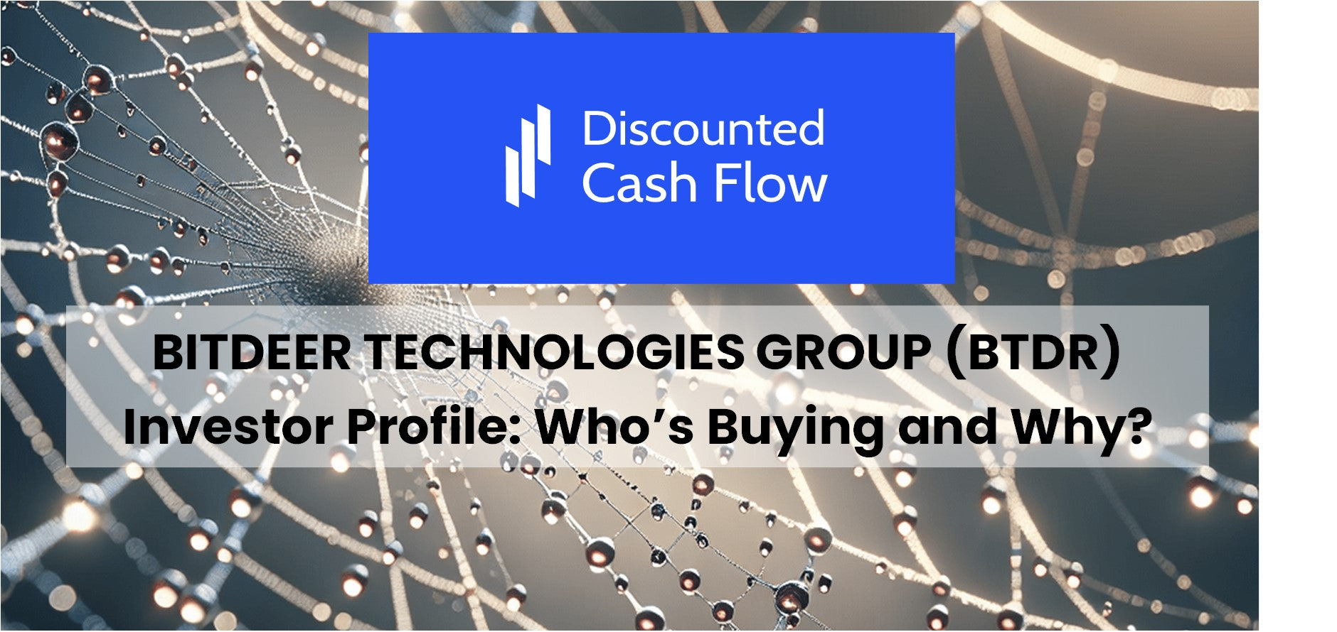 Exploring Bitdeer Technologies Group (BTDR): Who’s Buying and Why ...