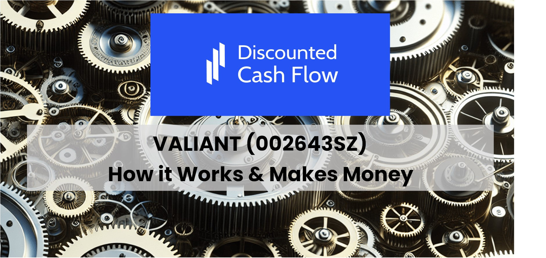 Valiant (002643SZ): history, ownership, mission, how it works & makes ...