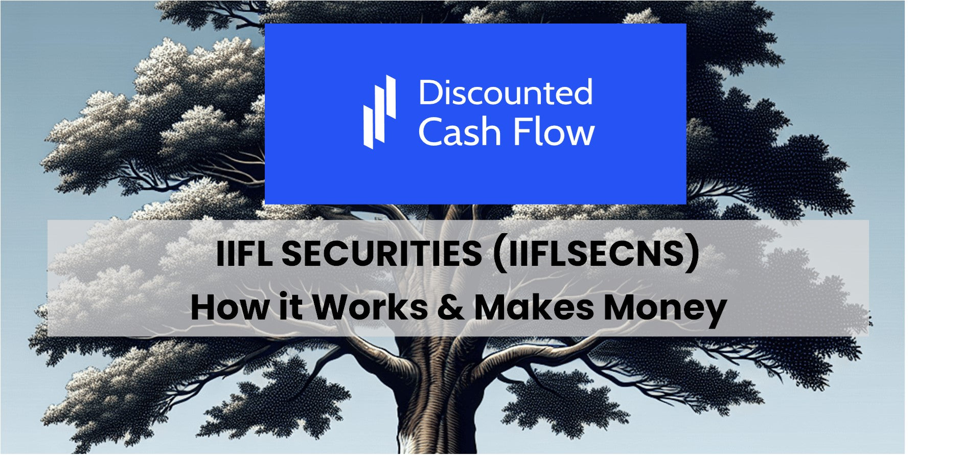 IIFL Securities (IIFLSECNS): history, ownership, mission, how it works ...