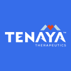 Tenaya Therapeutics, Inc. (TNYA): Company Profile – DCFmodeling.com