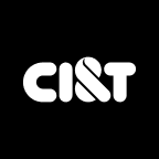 CI&T Inc (CINT): Company Profile – DCFmodeling.com